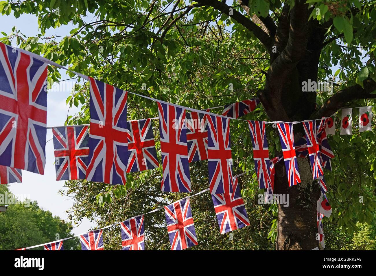 Poppy On Flag High Resolution Stock Photography and Images - Alamy
