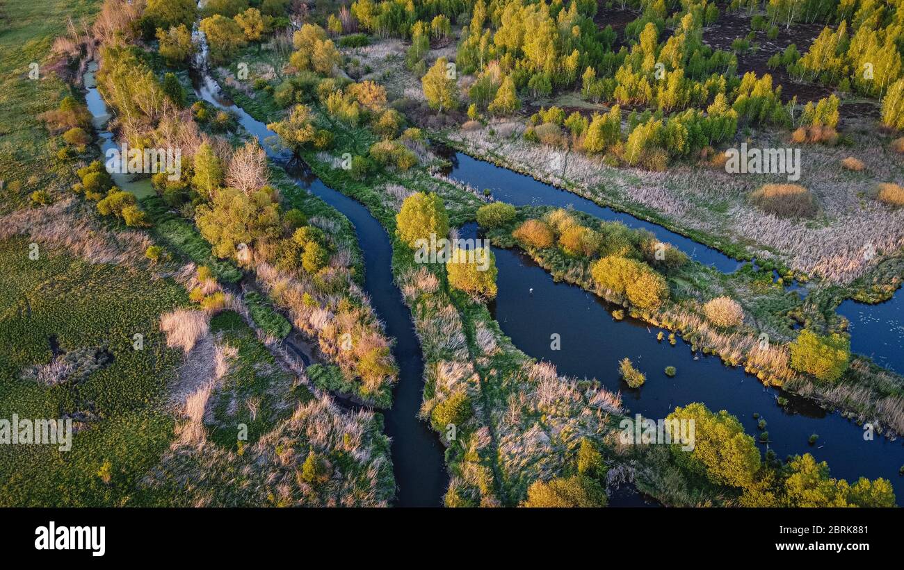 Beautiful aerial view on small rural rivers and forest trees from above ...