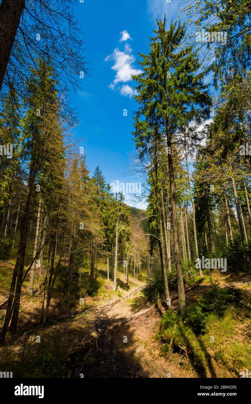 Romanka hi-res stock photography and images - Alamy