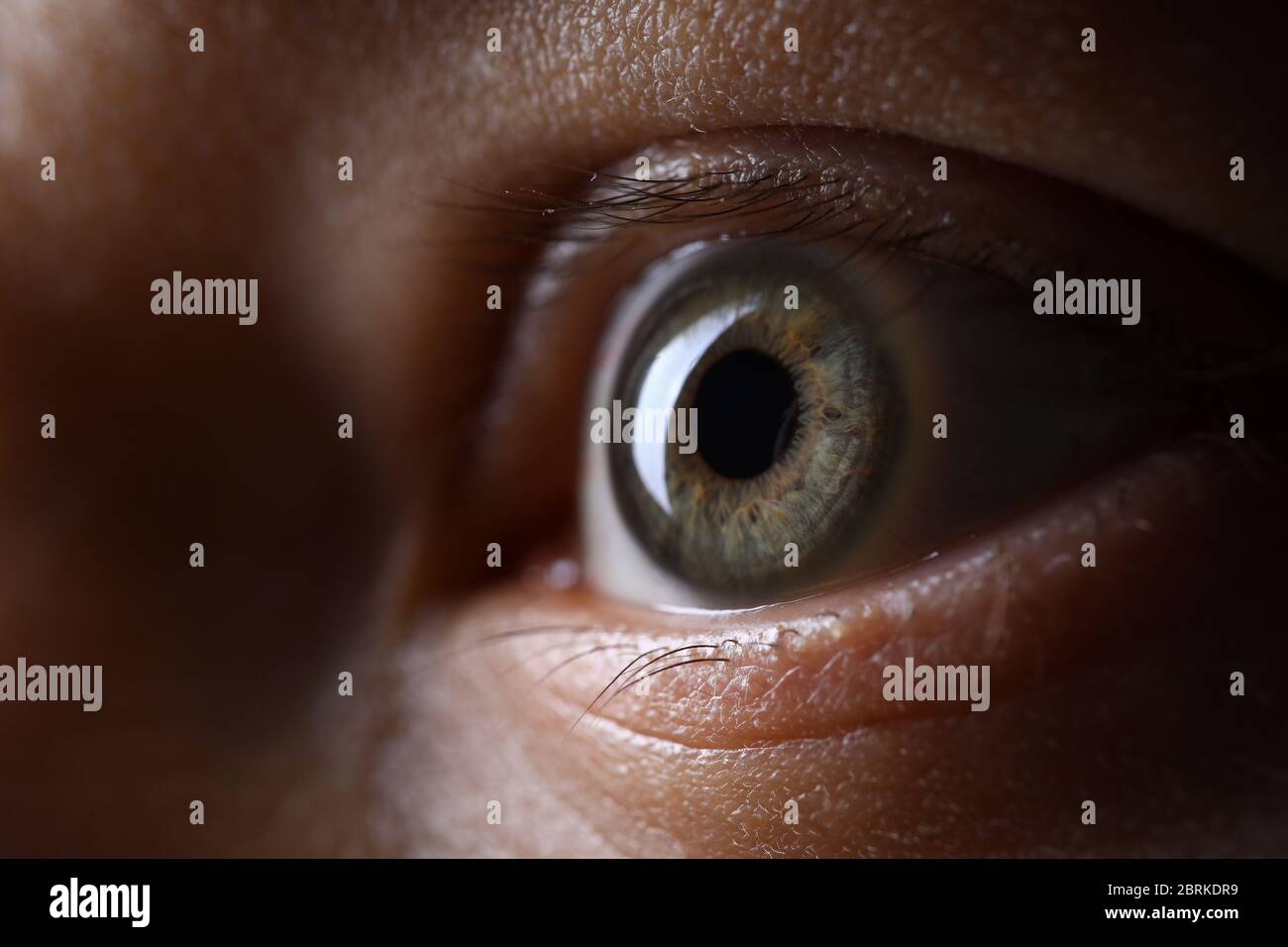Male gray green colored left eye in low light technique Stock Photo - Alamy