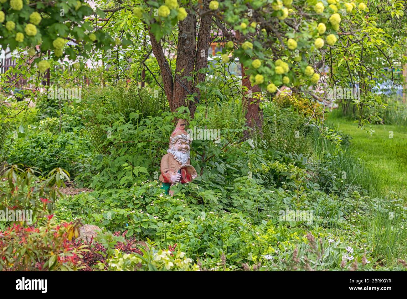 plaster dwarf in the garden, under a tree Stock Photo - Alamy