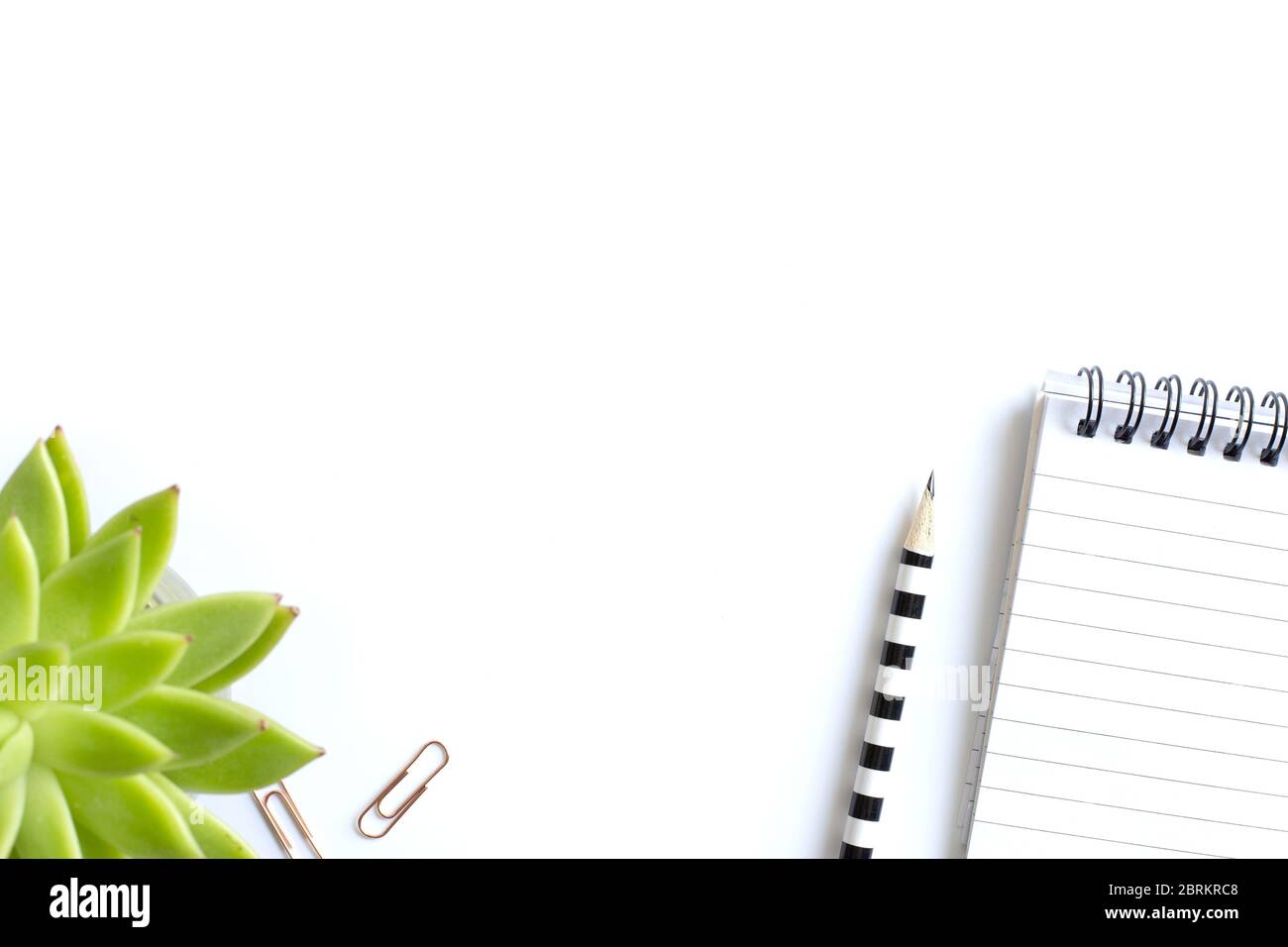 Notepad with spiral, pensil, clippers and home plant in soft focus on ...