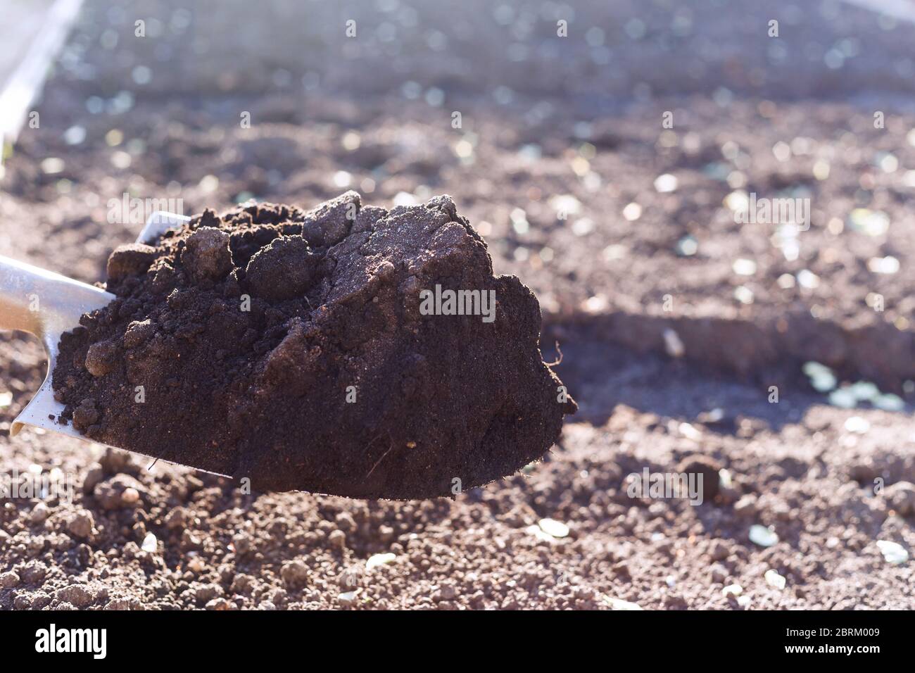Farmer digging spade hand tool hi-res stock photography and images - Alamy