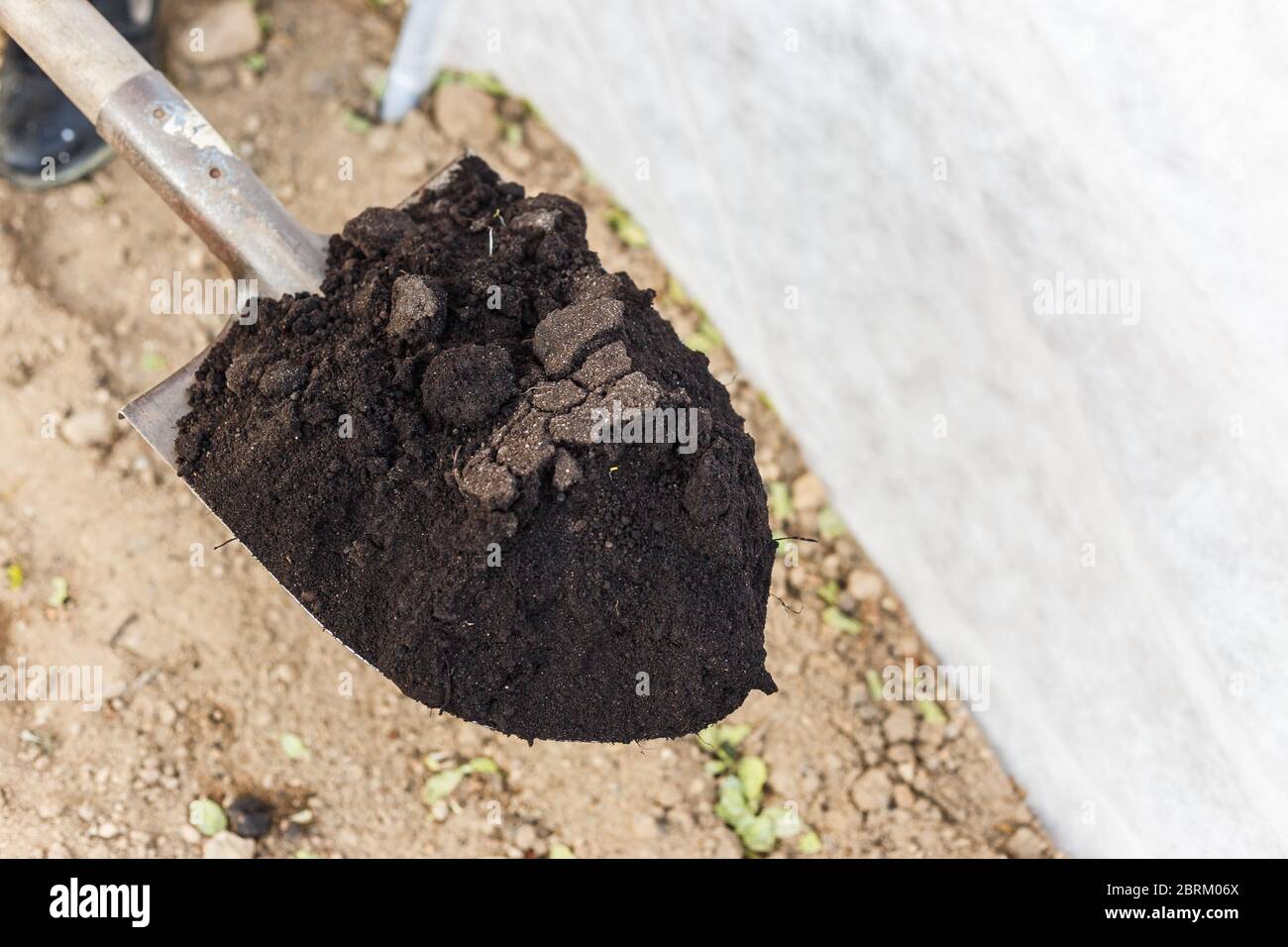 Man digging earth agriculture hi-res stock photography and images - Alamy