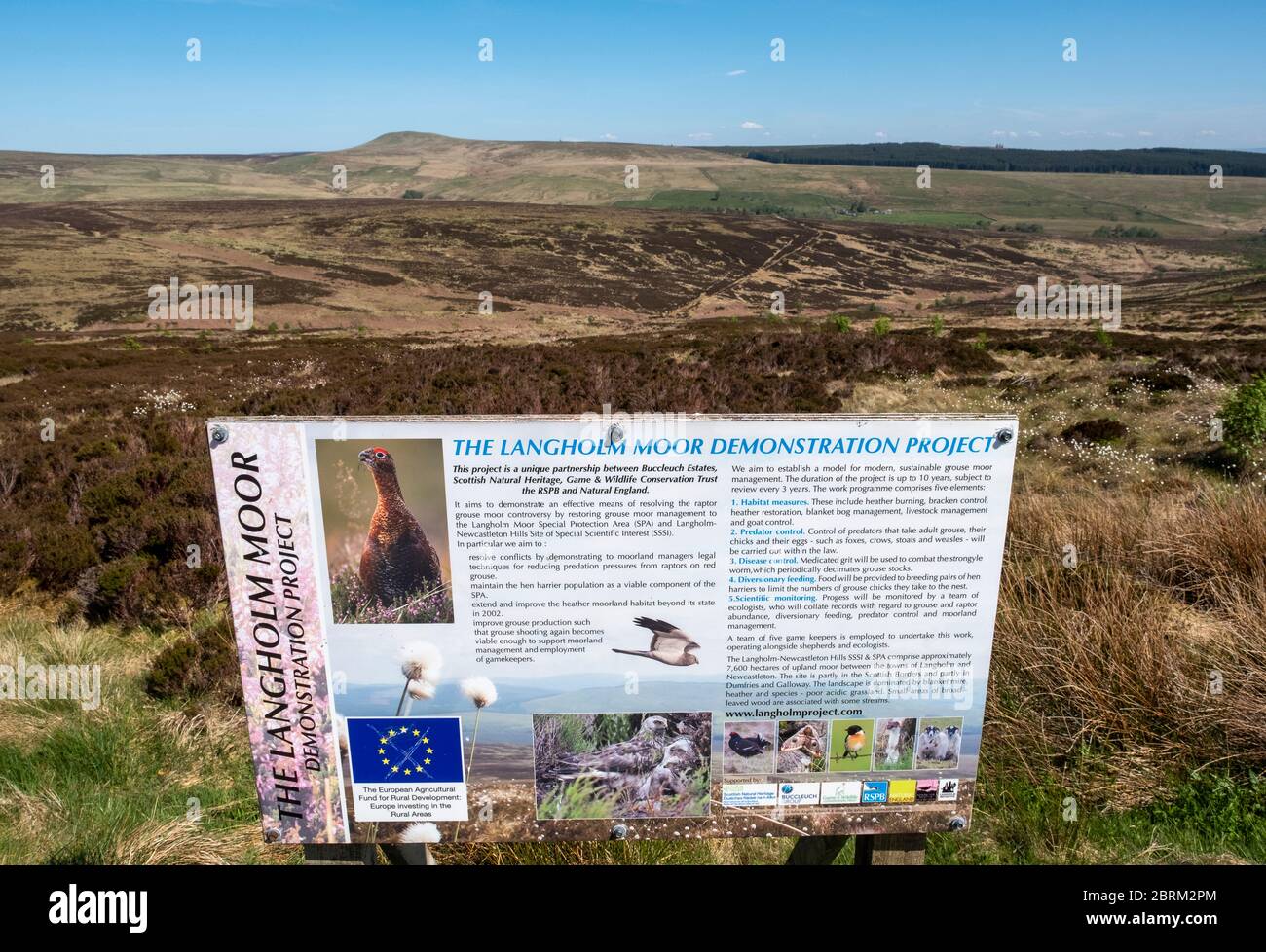 Tarras valley nature reserve hi-res stock photography and images - Alamy