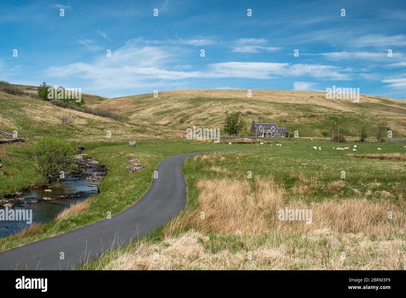 Tarras valley nature reserve hi-res stock photography and images - Alamy