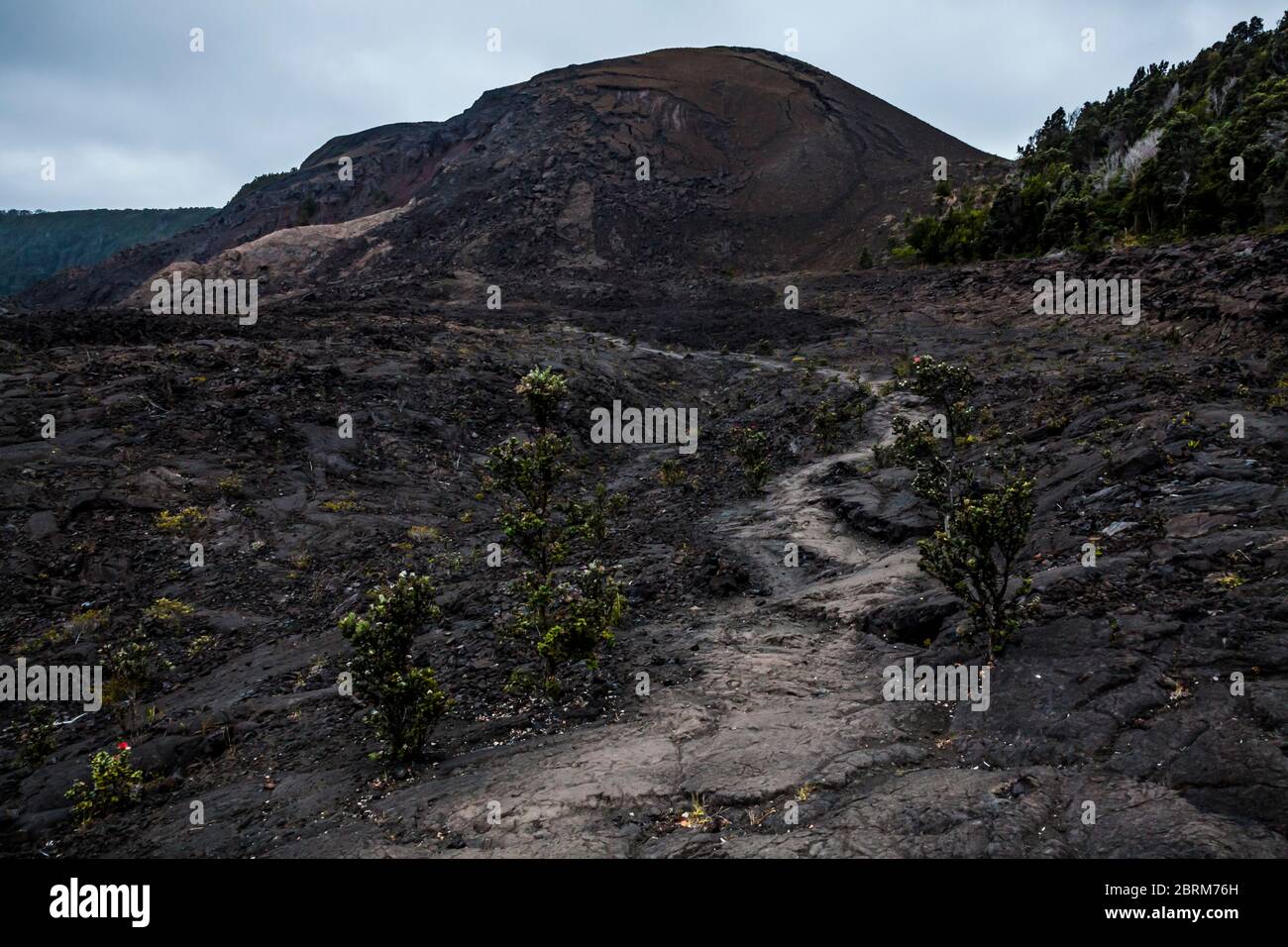 Kilauea iki pit hi-res stock photography and images - Alamy