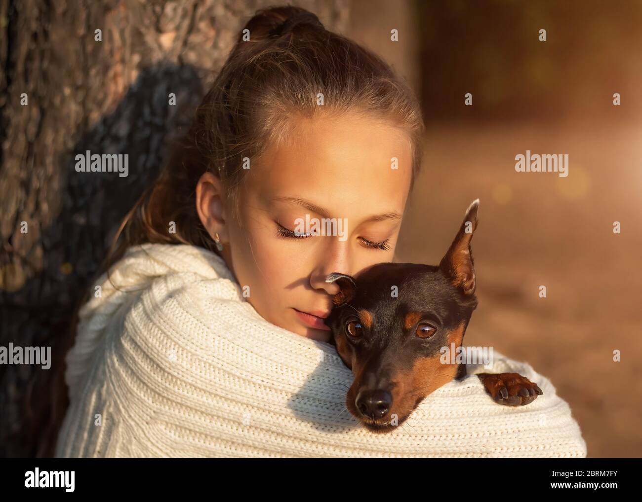 beautiful teenager girl hugs her beloved dog and sits in the light of ...