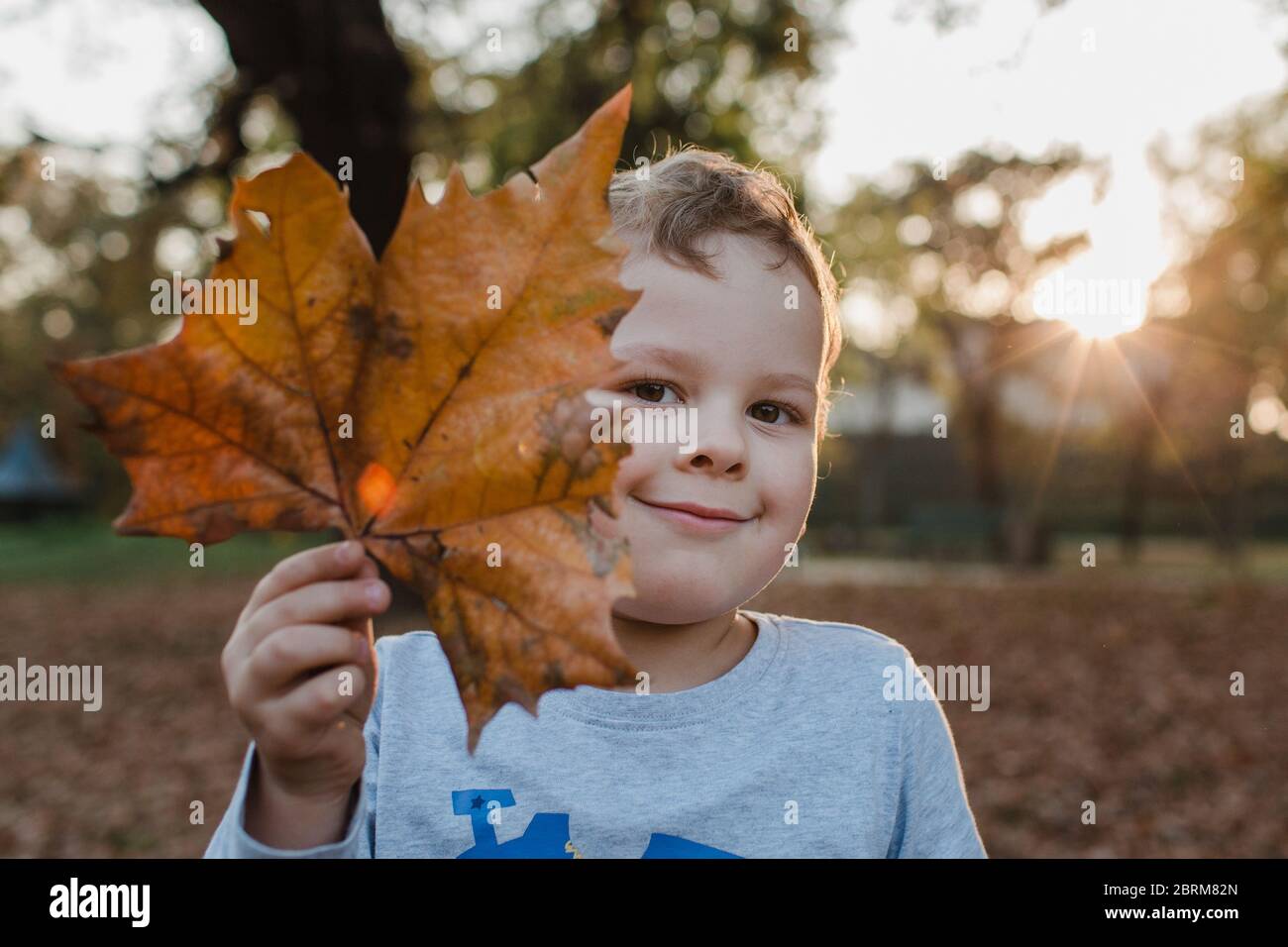 Portrait of young boy holding brown leaf. Cute child holding brown leaf ...