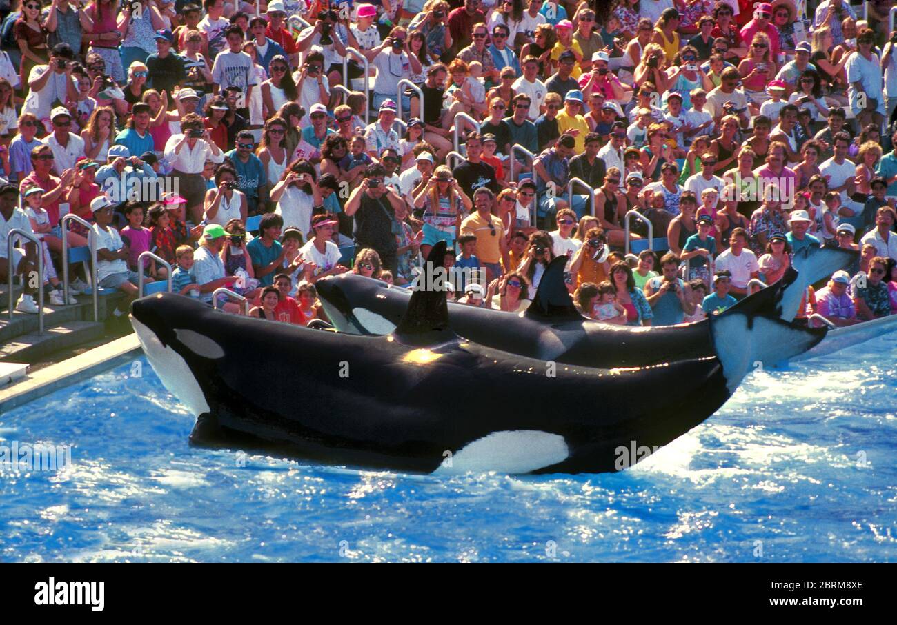 Seaworld san diego hi-res stock photography and images - Alamy