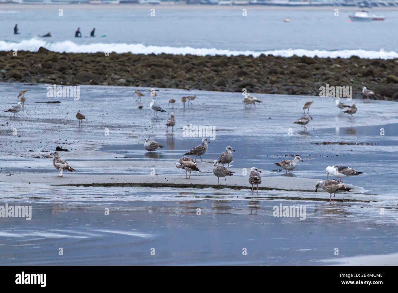 Tidal wave morning misty sea hi-res stock photography and images - Alamy