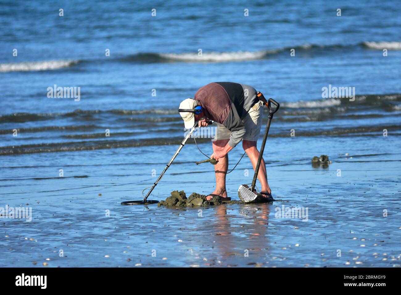 Treasure hunter with metal detector digging in beach sand on ocean ...