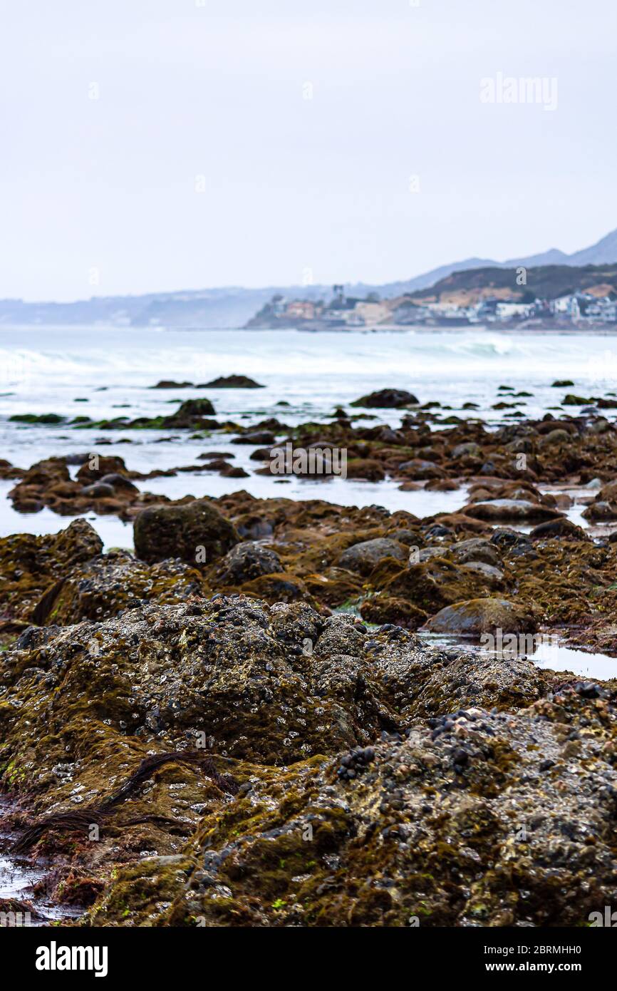 Tidal pools (rocky shore ecosystem) hi-res stock photography and images ...