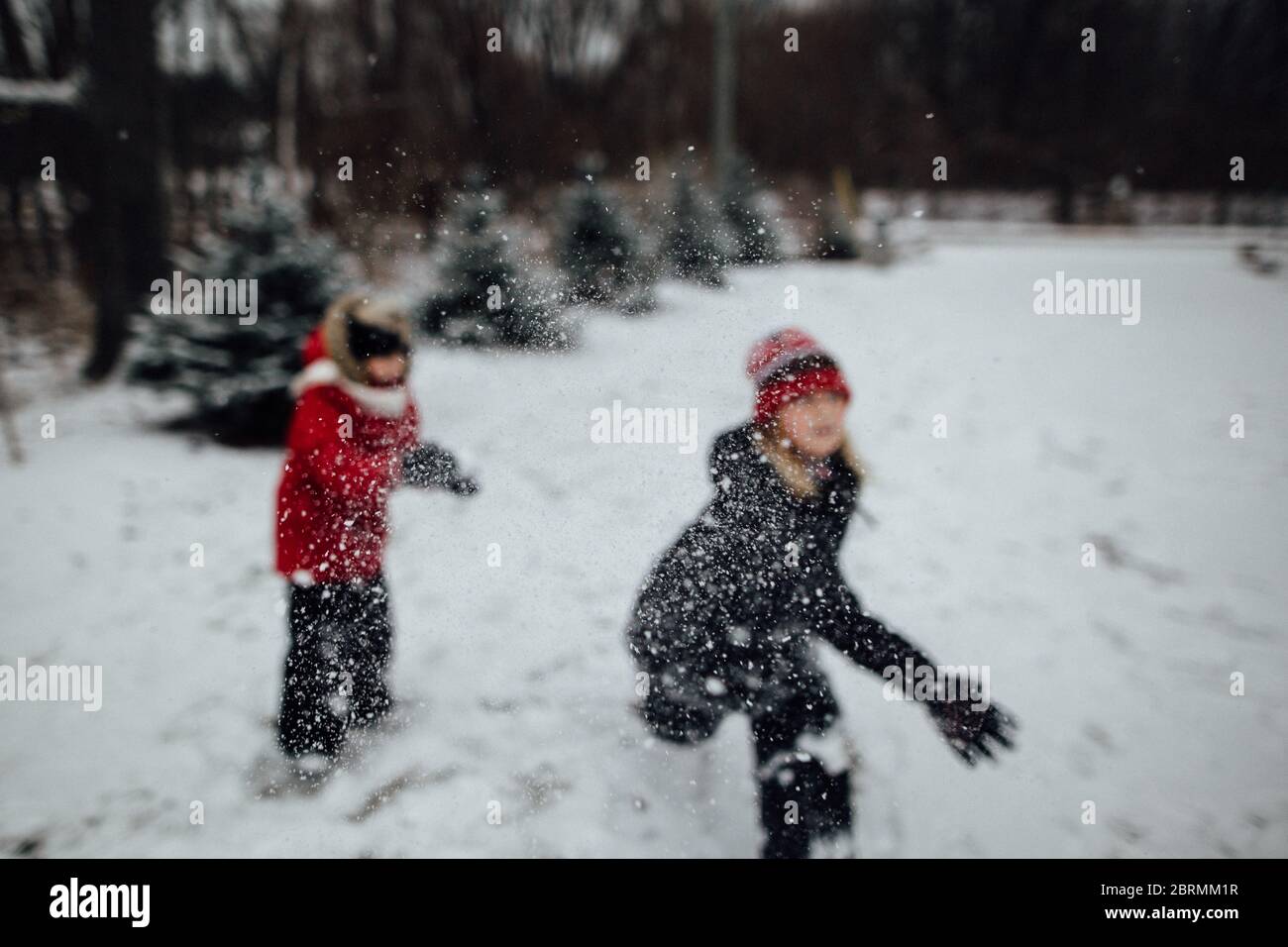 Snow being thrown at camera making blur Stock Photo - Alamy