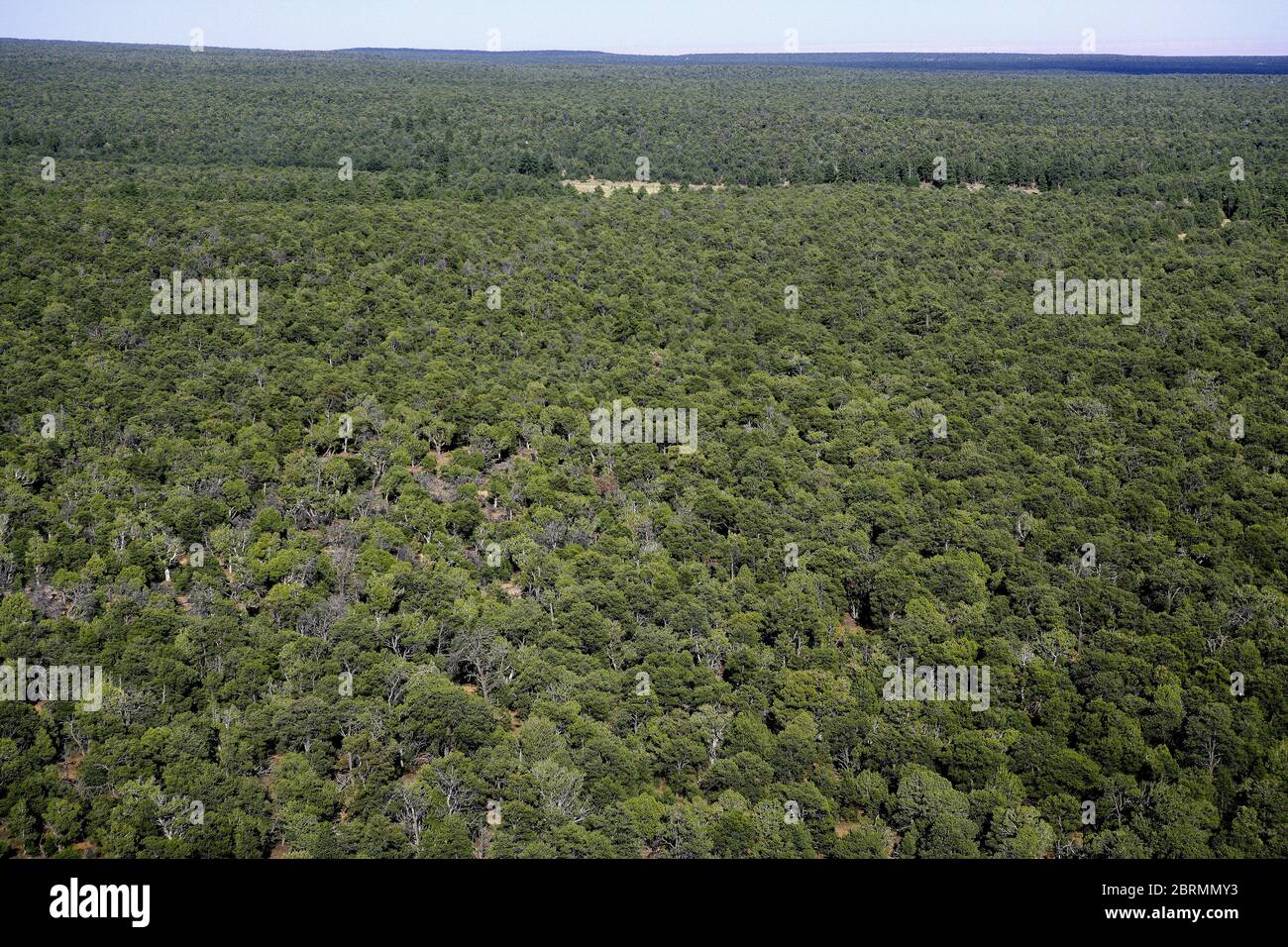 Grand Canyon Overlook North Rim Stock Photo - Alamy