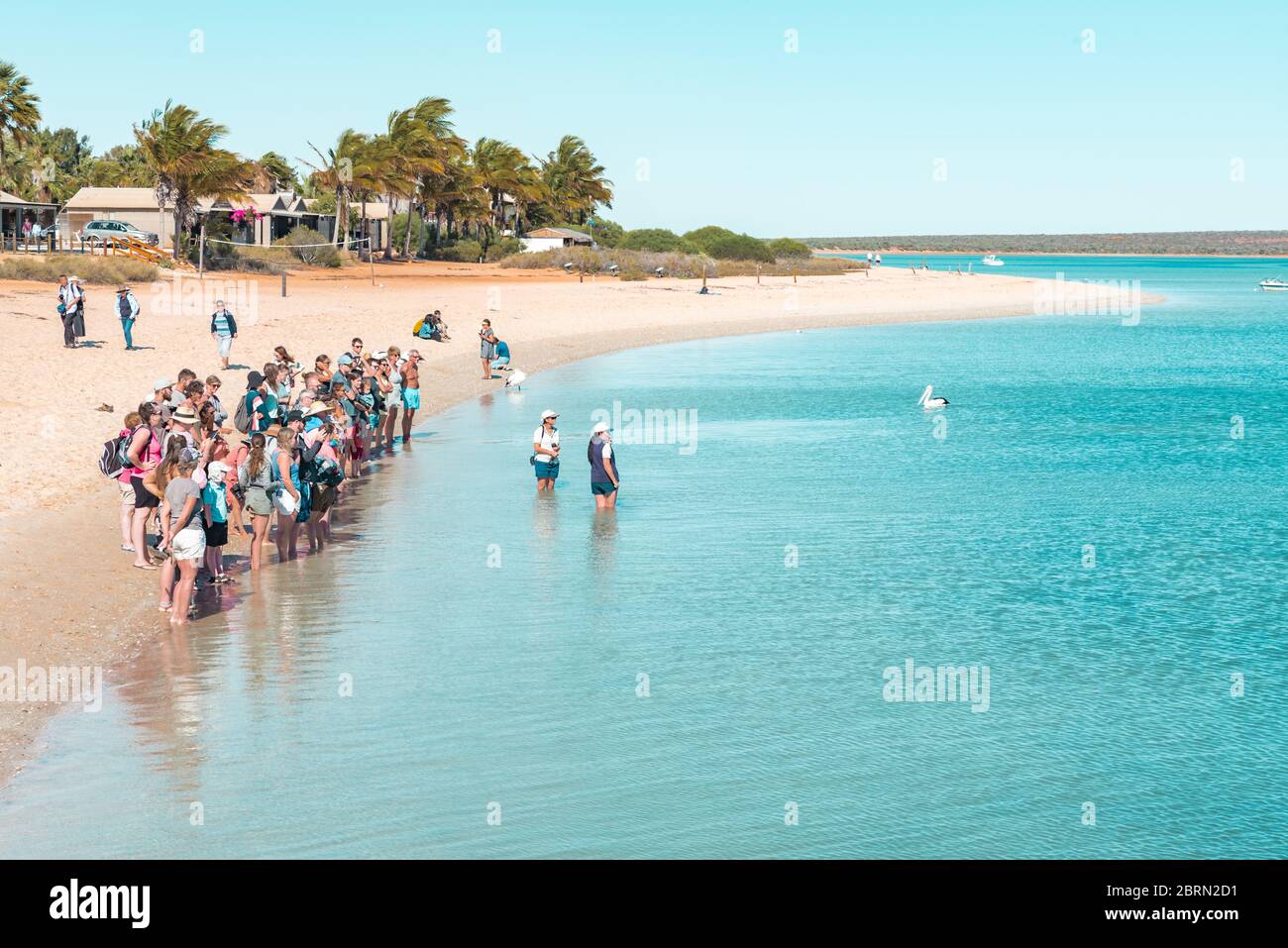 Monkey Mia, Nov 2019: Aerial view of the famous Dolphin resort at ...