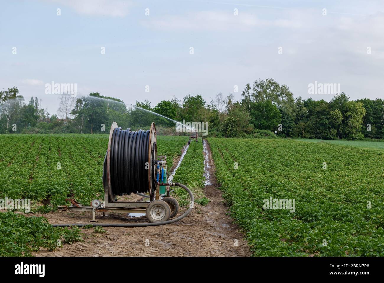 Water Road Sprinkler High Resolution Stock Photography and Images - Alamy