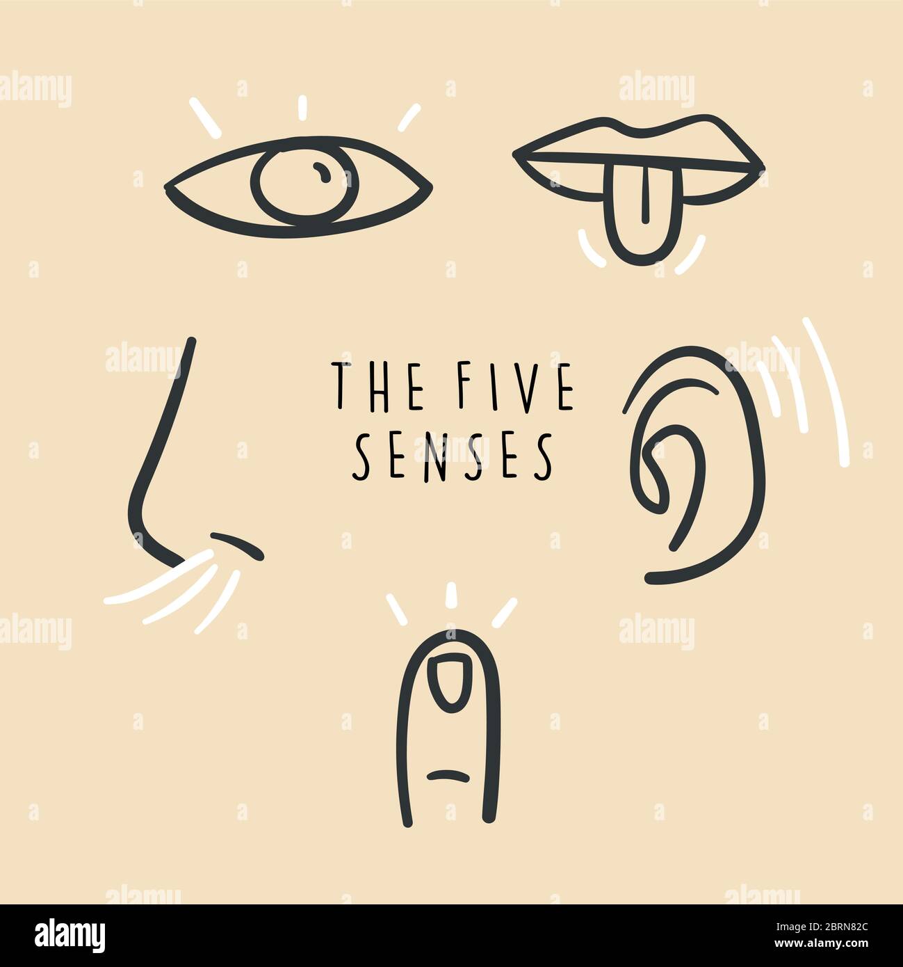 Five senses illustration hi-res stock photography and images - Alamy