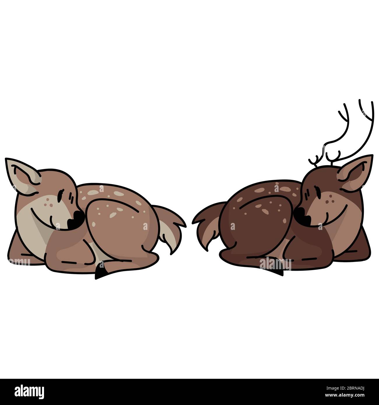 Cute woodland doe and buck vector illustration. Buck deer with antlers ...