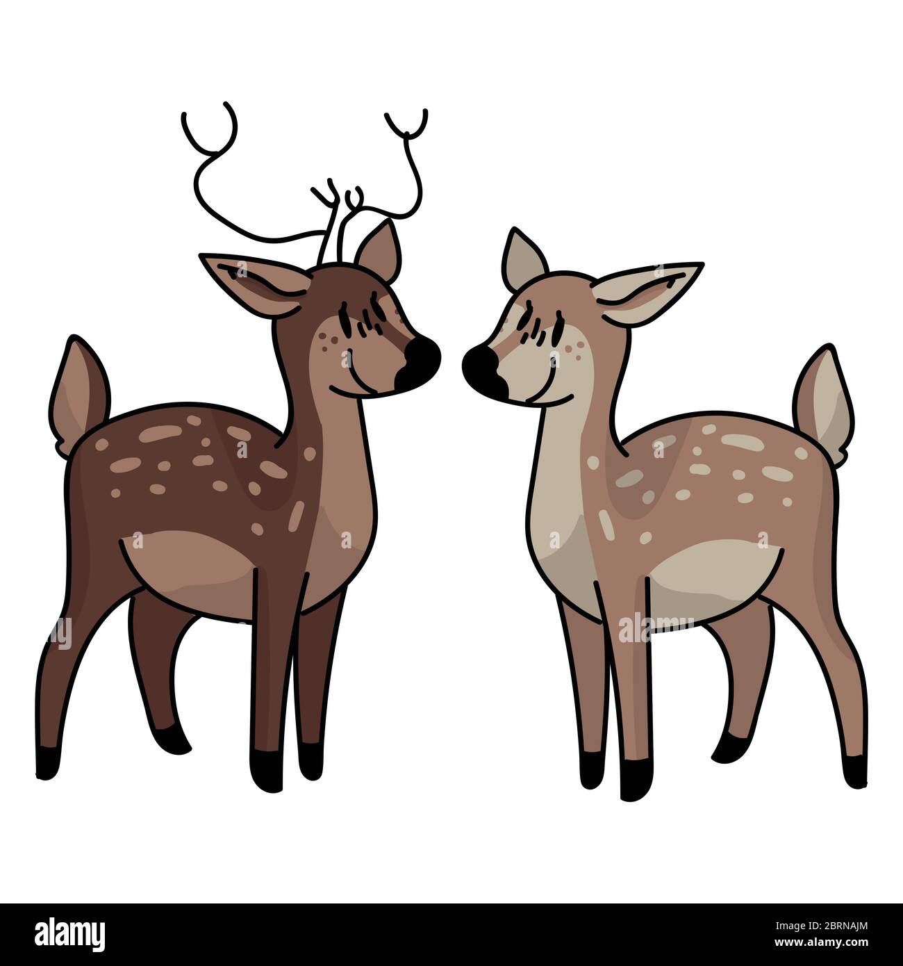 Buck And Doe Drawing