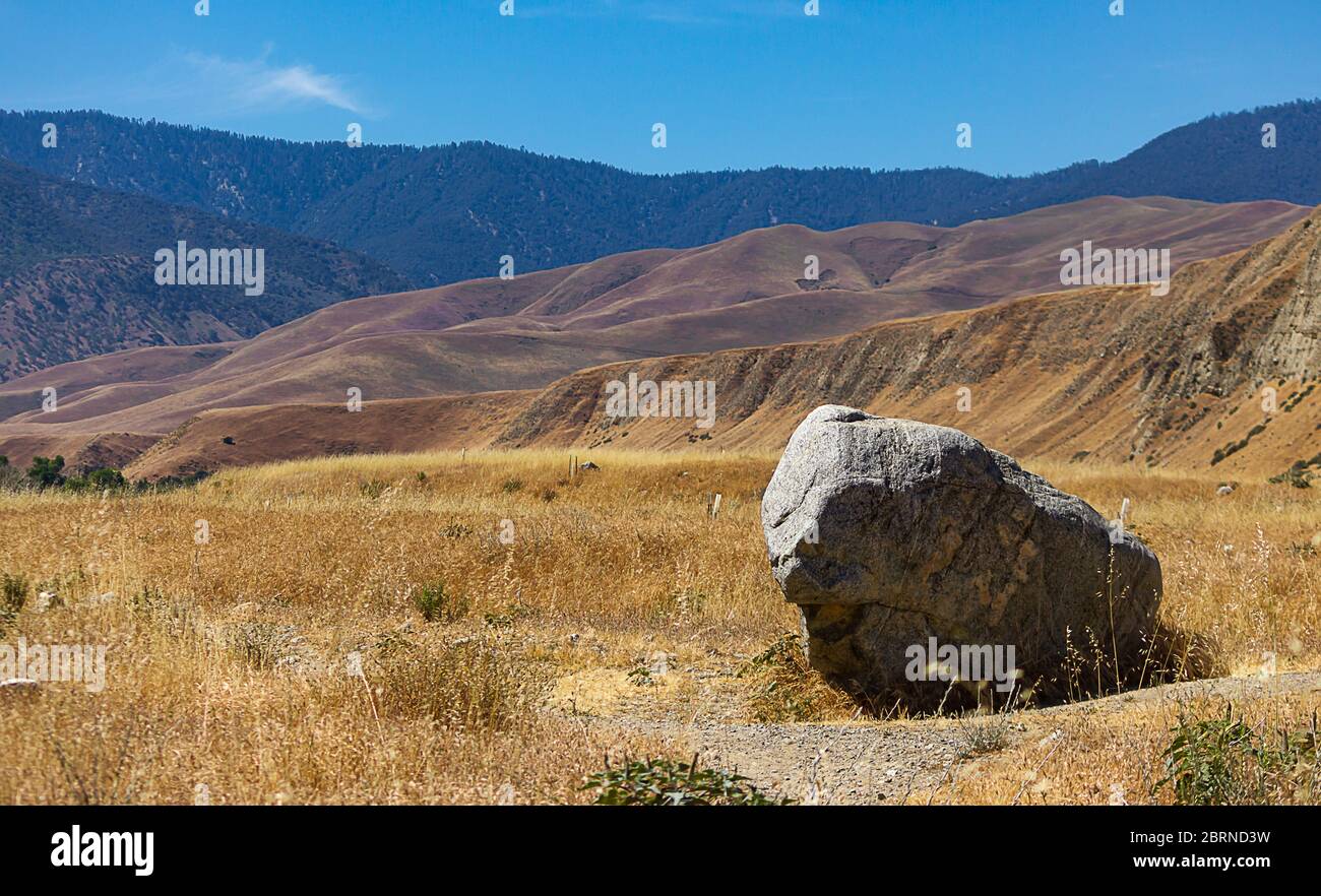 large single boulder in dry wild oats that spread across landscapr with ...