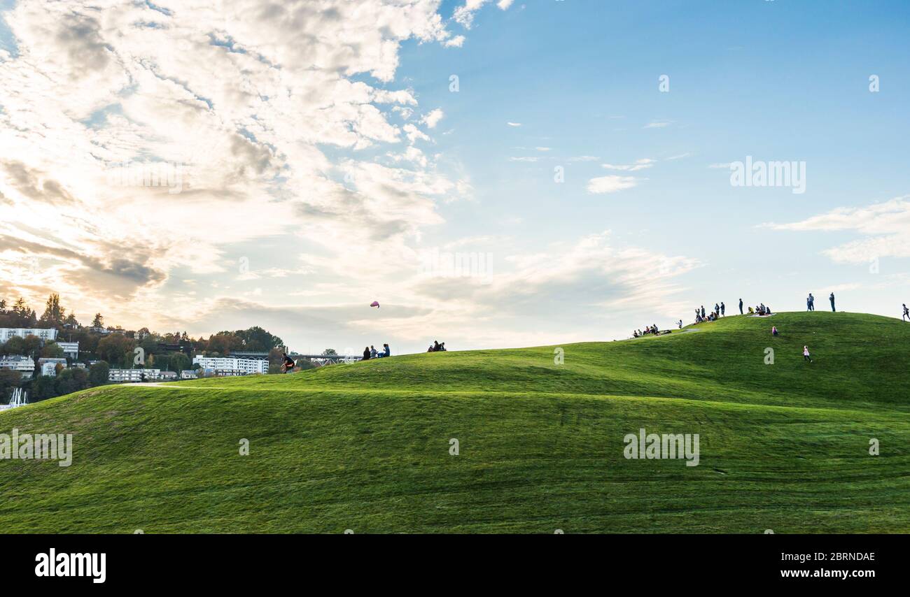 slope of green lawn in the park when sunset Stock Photo - Alamy