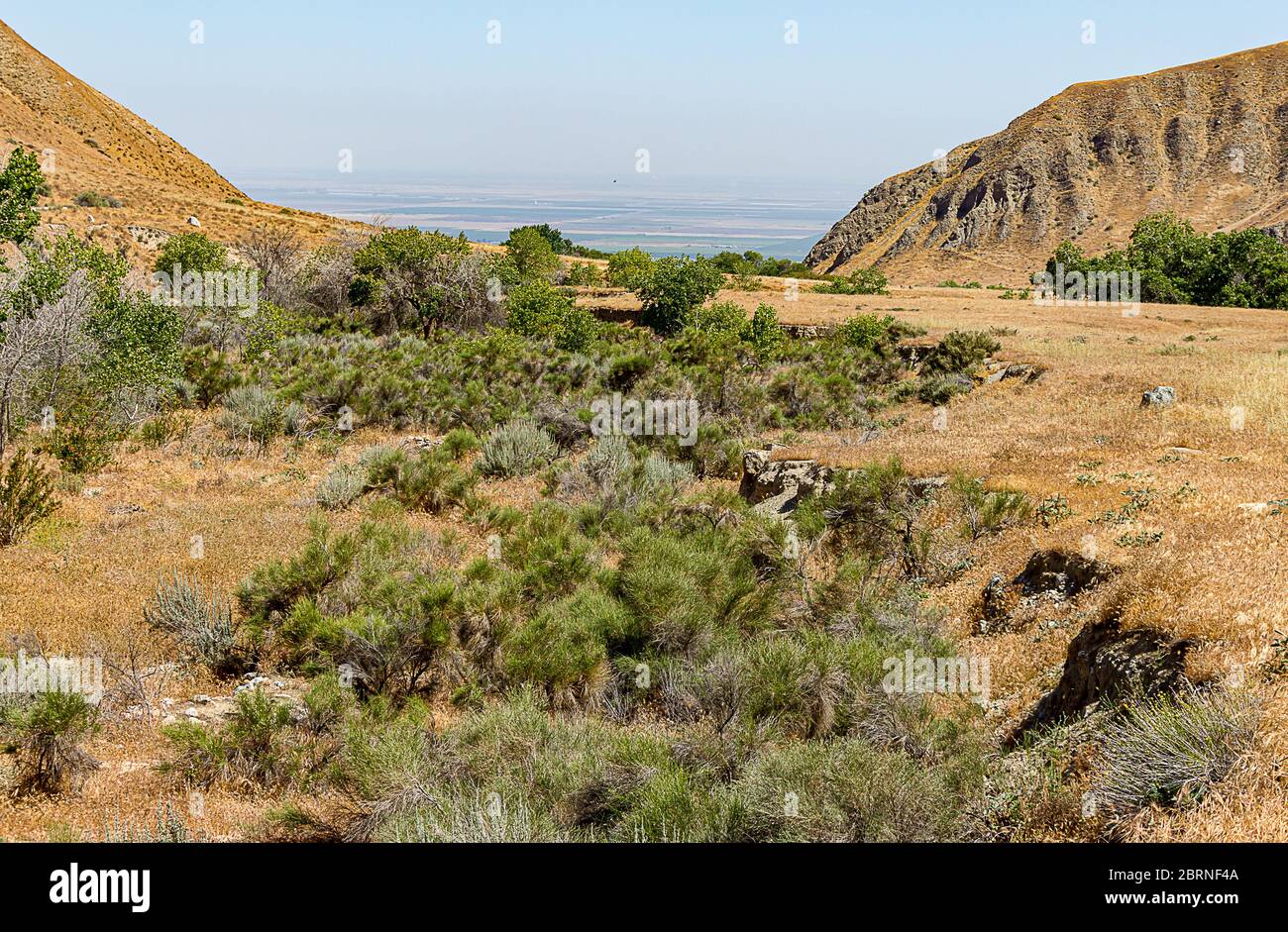 scrub desert vista with layers of ecosystems with canyon, cliff, hills ...
