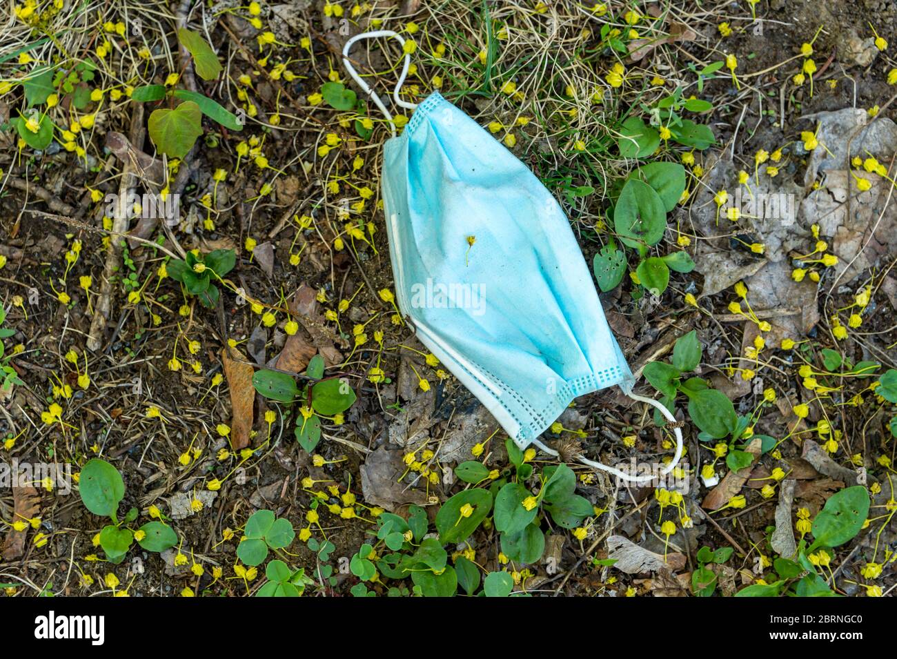 Discarded face mask dumped on the ground during the Covid-19 pandemic ...