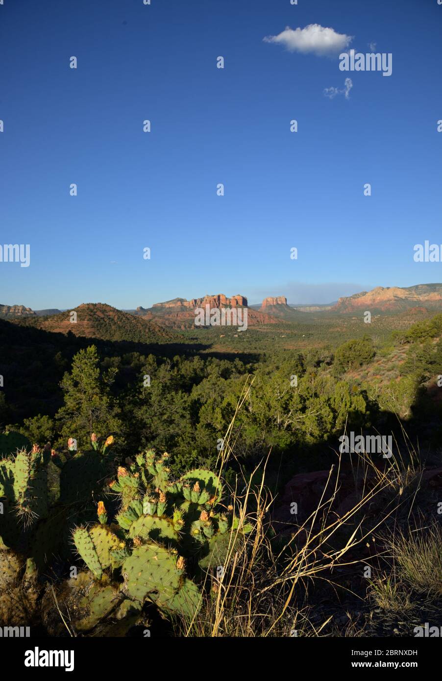 Beautiful rugged landscape pinnacles hi-res stock photography and ...