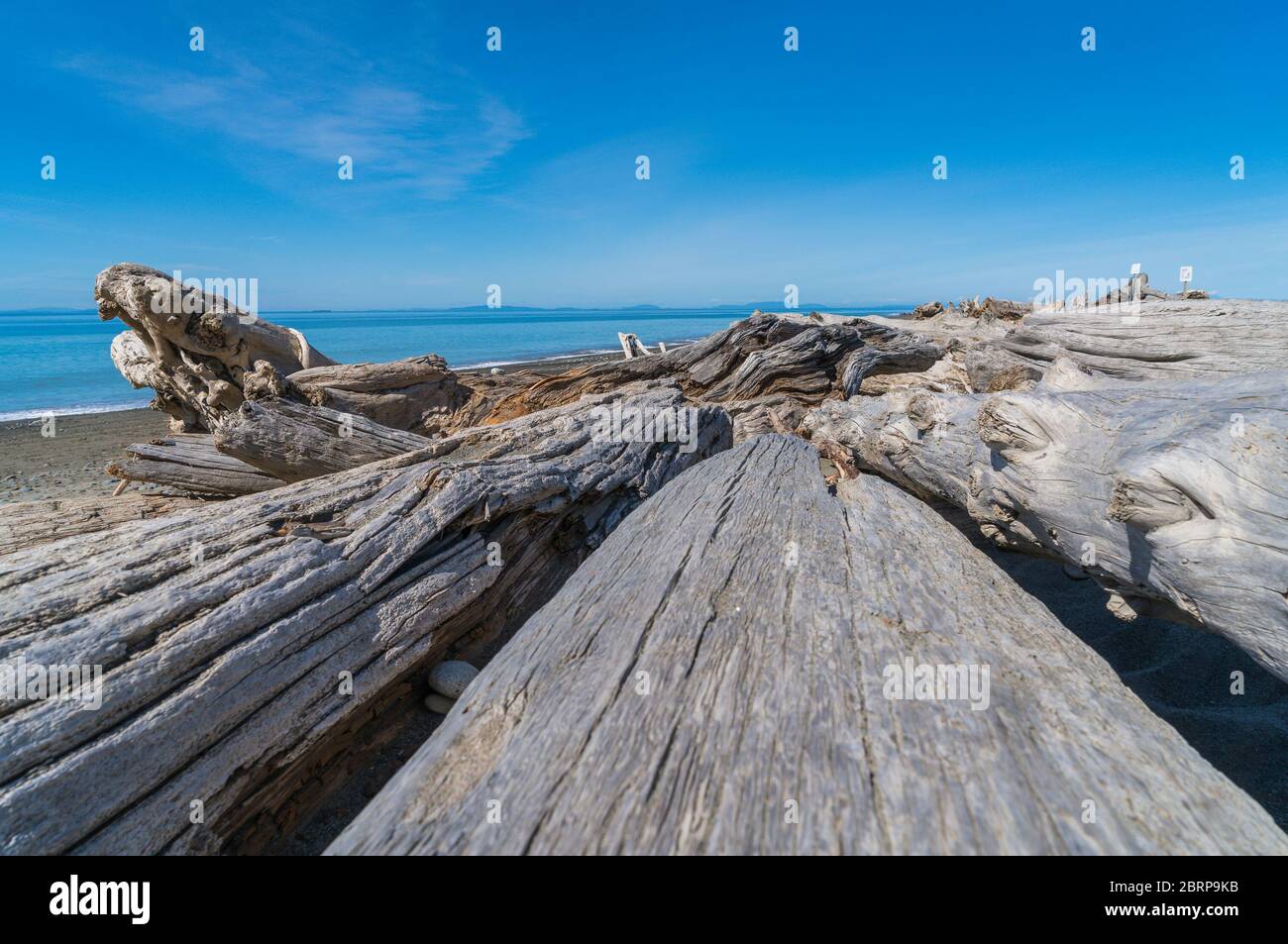 Dungeness national wildlife hi-res stock photography and images - Alamy