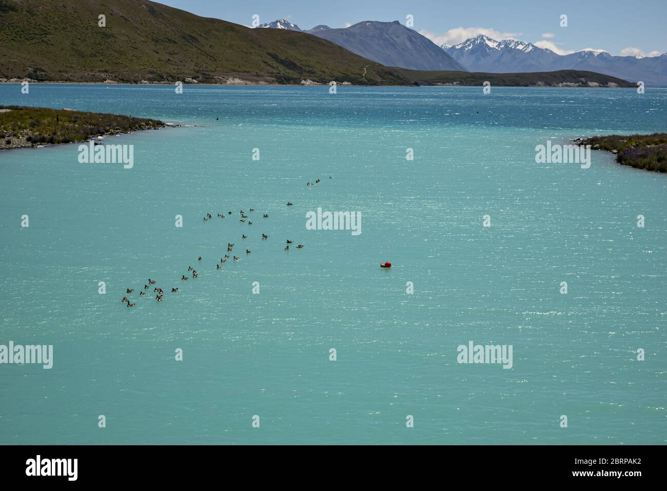 NEW ZEALAND LANDSCAPE TE KAPO LAKE Stock Photo - Alamy