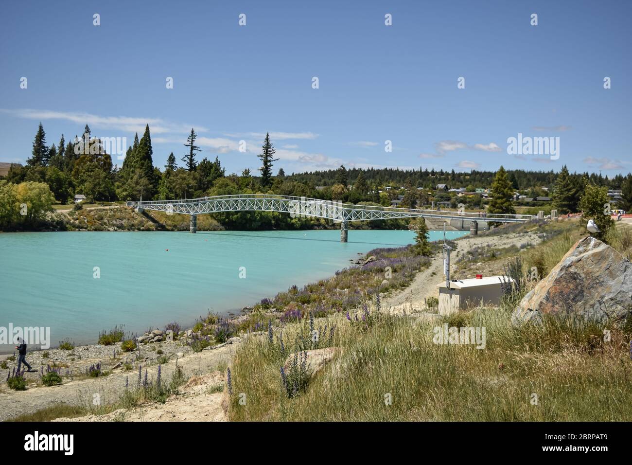 NEW ZEALAND LANDSCAPE TE KAPO LAKE Stock Photo - Alamy