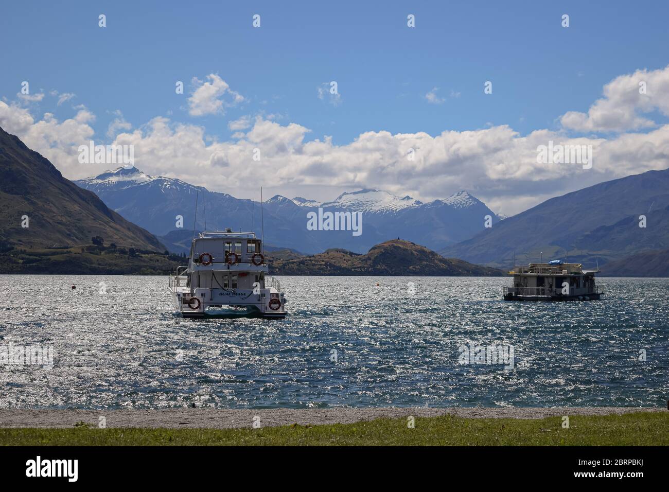 NEW ZEALAND LANDSCAPE WANAKA, NATURAL PARK Stock Photo - Alamy