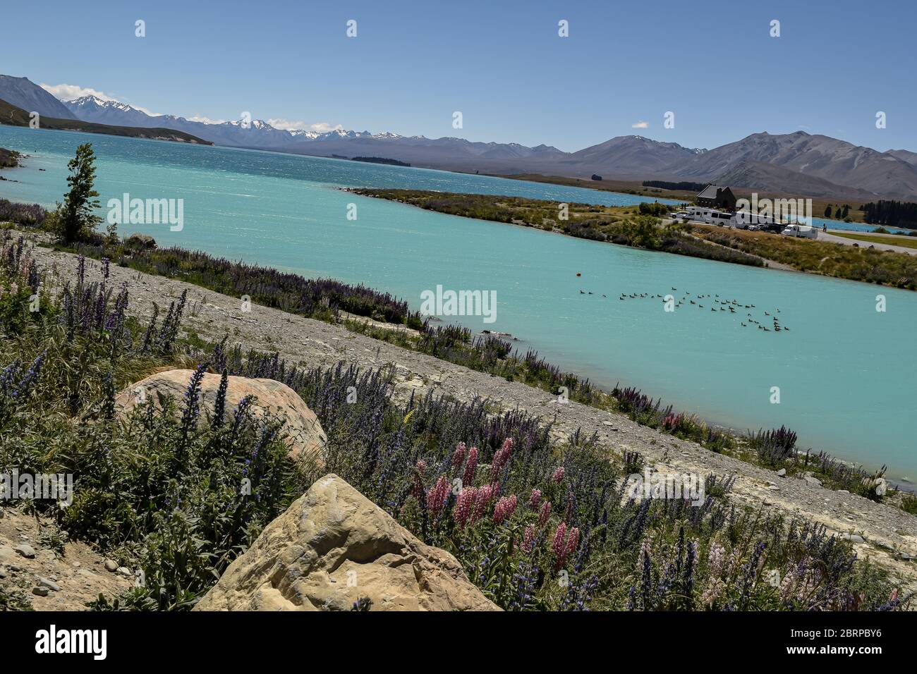 NEW ZEALAND LANDSCAPE TE KAPO LAKE Stock Photo - Alamy