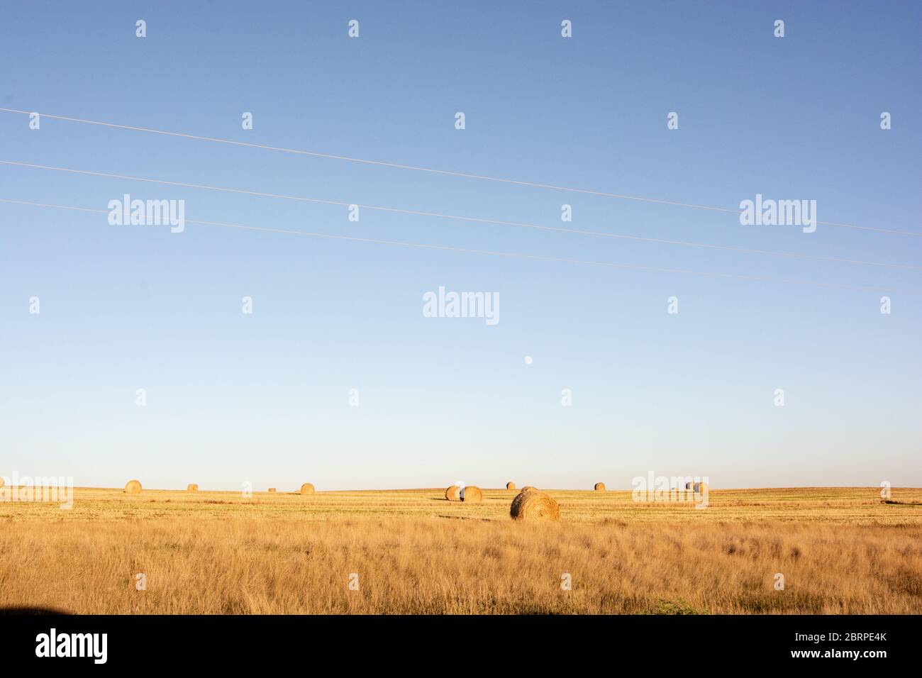 Hay rolls glow in the late afternoon as the sun begins to set on an ...