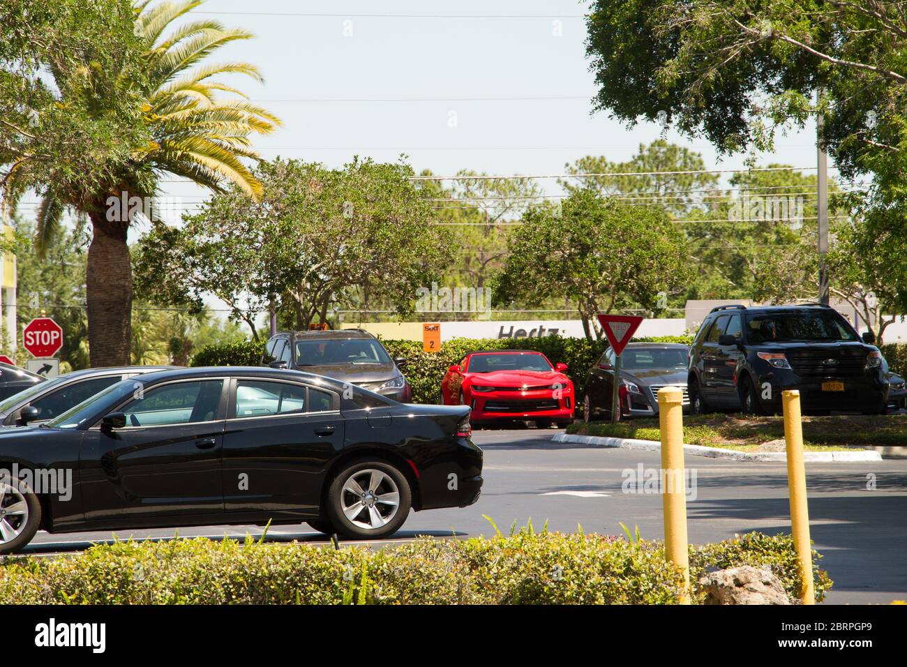 Parking orlando hi-res stock photography and images - Alamy