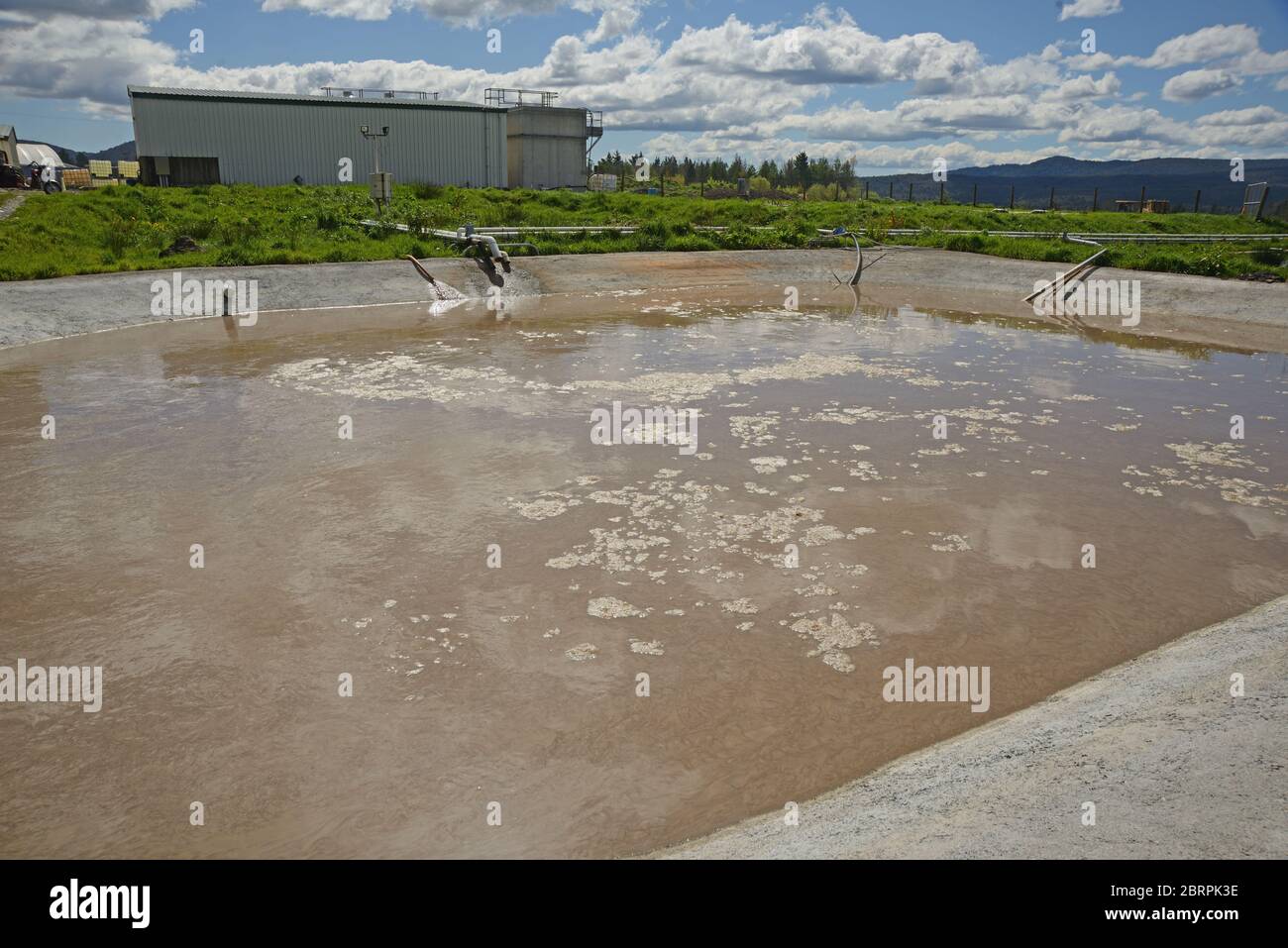Pond water pollutants hi-res stock photography and images - Alamy