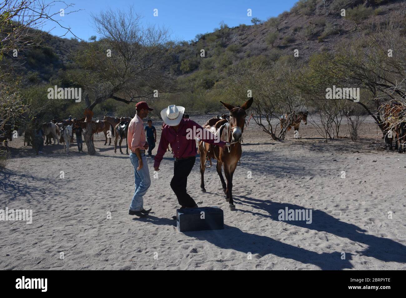 Horseriding with rancheros from Rancho San Cosme in Loreto at Bahia ...
