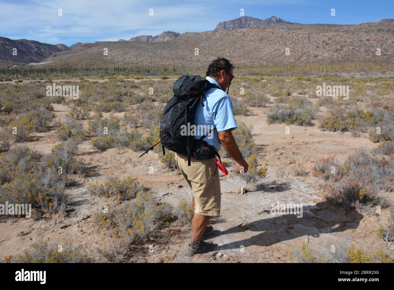 A tour guide leads a group of active cruise tourists on a remote ...