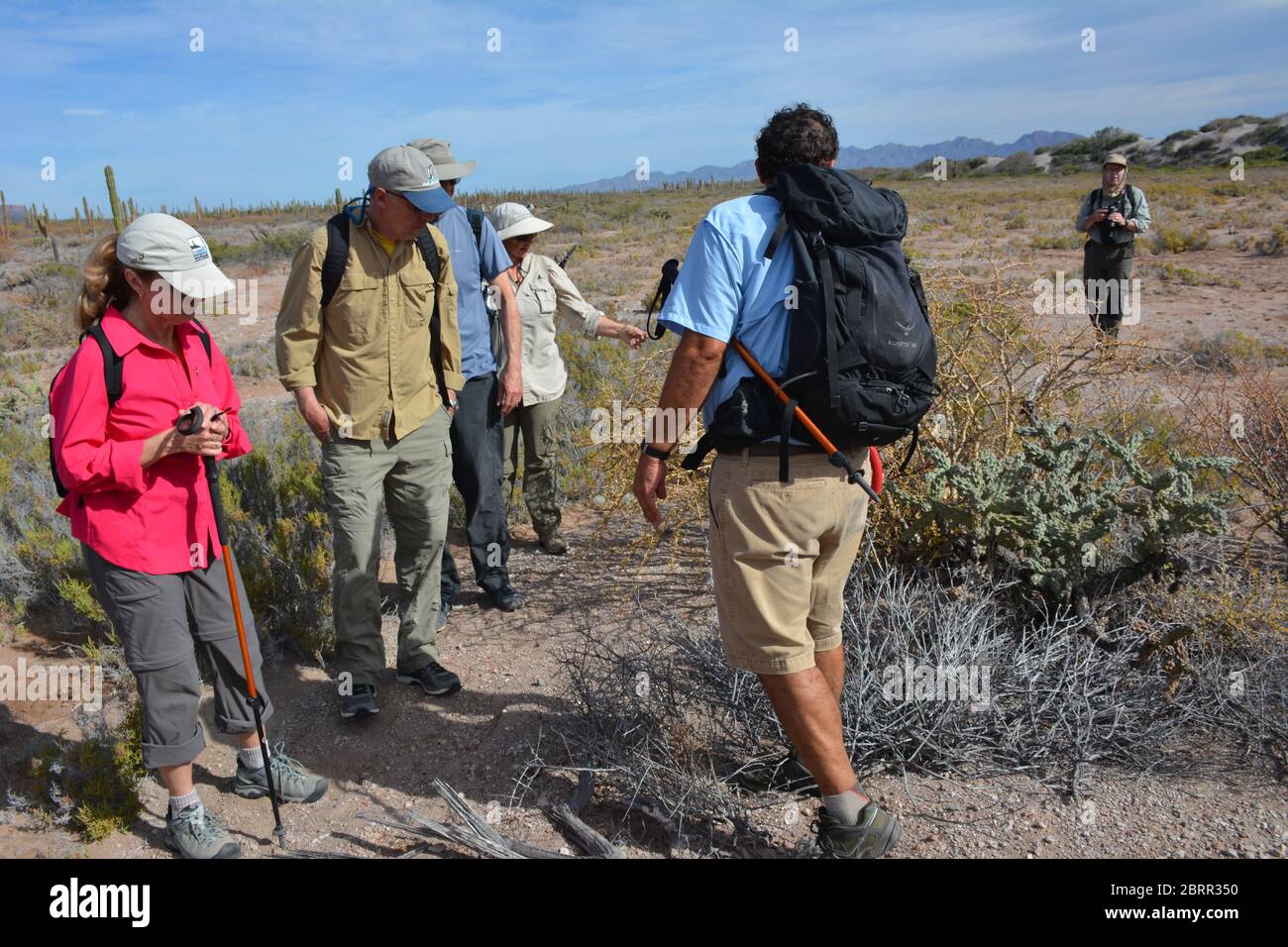 A tour guide leads a group of active cruise tourists on a remote ...