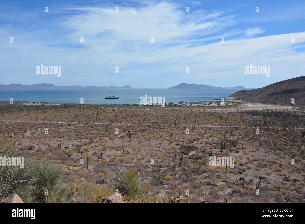 Coastal desert landscape in a remote stretch south of Loreto in Baja ...