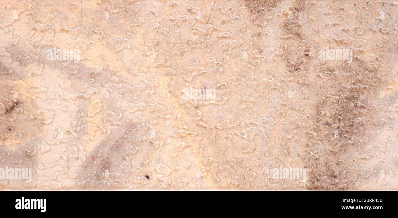 The porous surface of natural beige marble close-up. Background ...