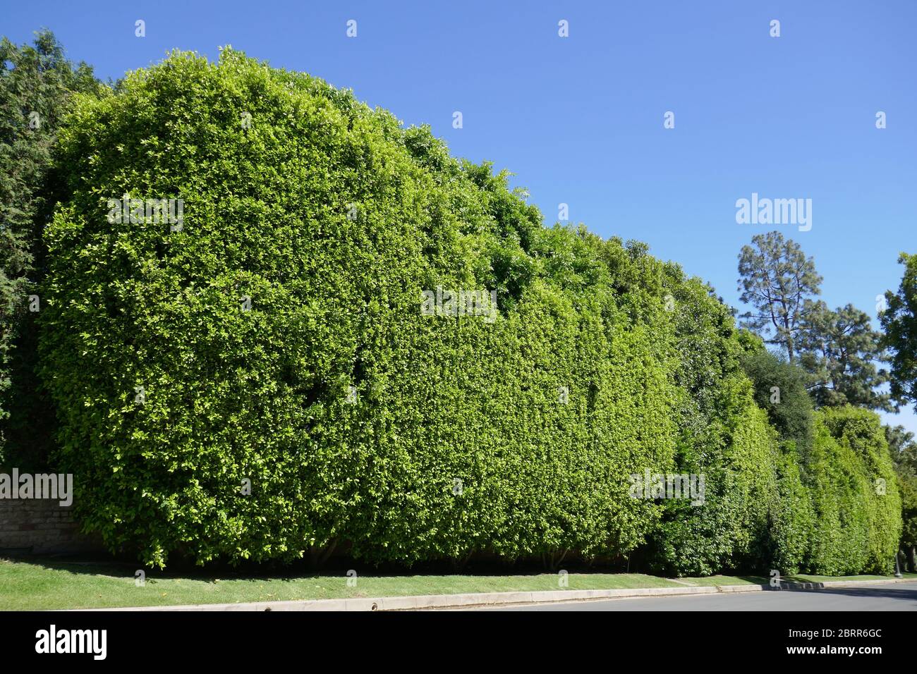 Beverly Hills, California, USA 21st May 2020 A general view of ...