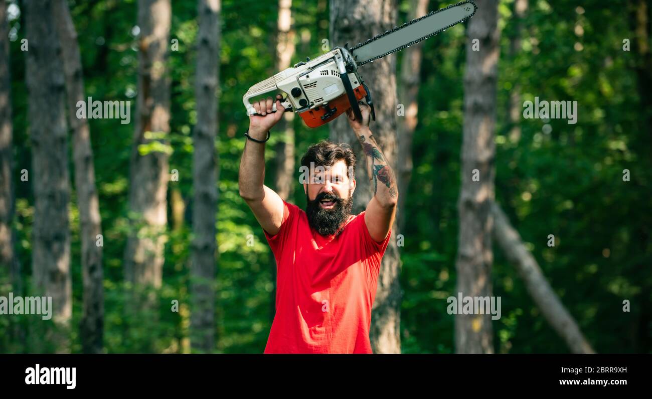 Lumberjack With Chainsaw In His Hands Lumberjack Holding The Chainsaw The Lumberjack Working