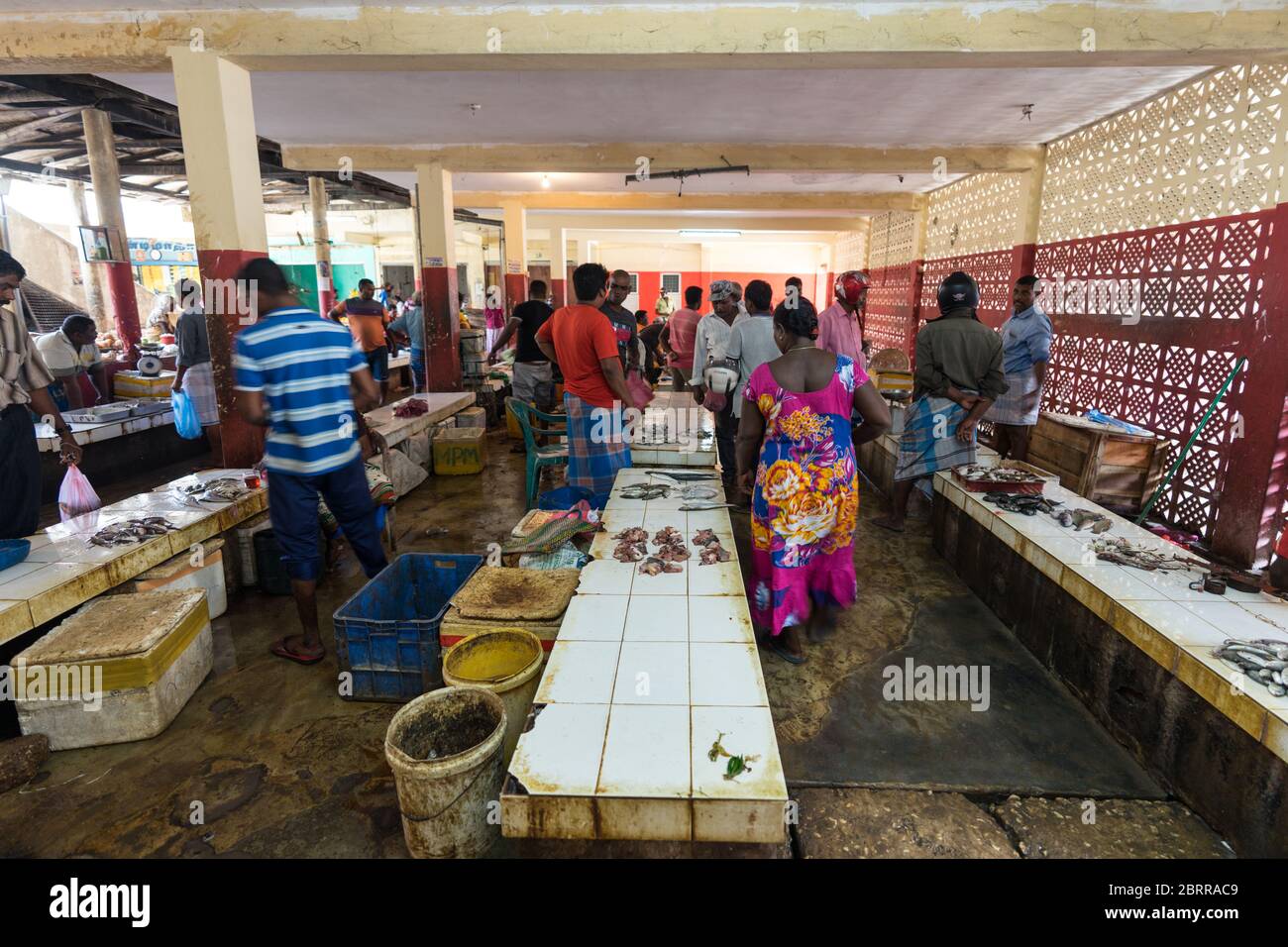 Jaffna / Sri Lanka - August 15, 2019: People selling fish local market ...