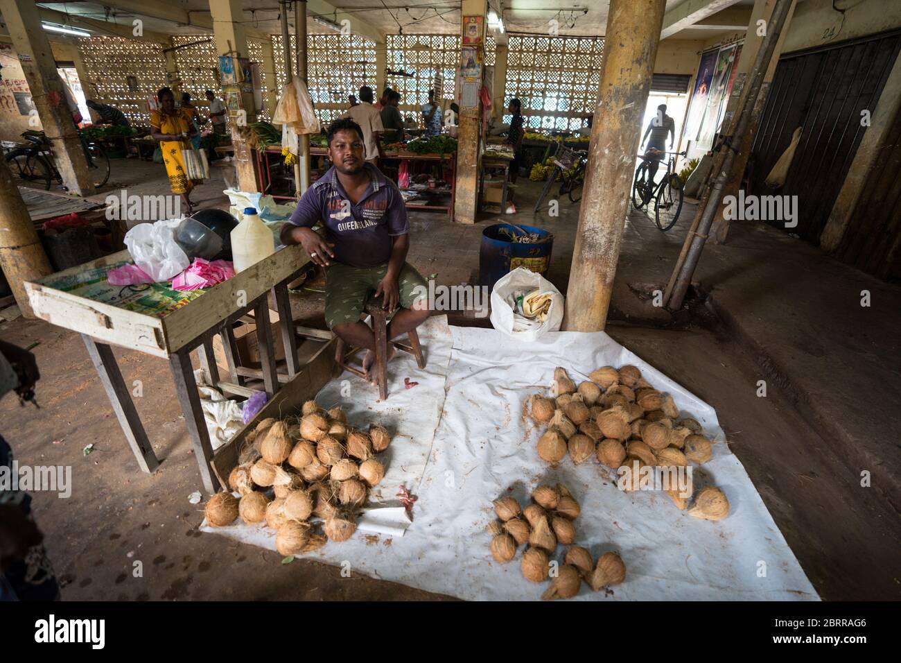 Jaffna / Sri Lanka - August 15, 2019: Man selling coconuts in market ...
