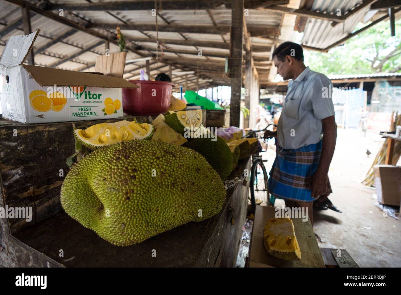 Jaffna / Sri Lanka - August 15, 2019: Man selling huge Jackfruit in a ...