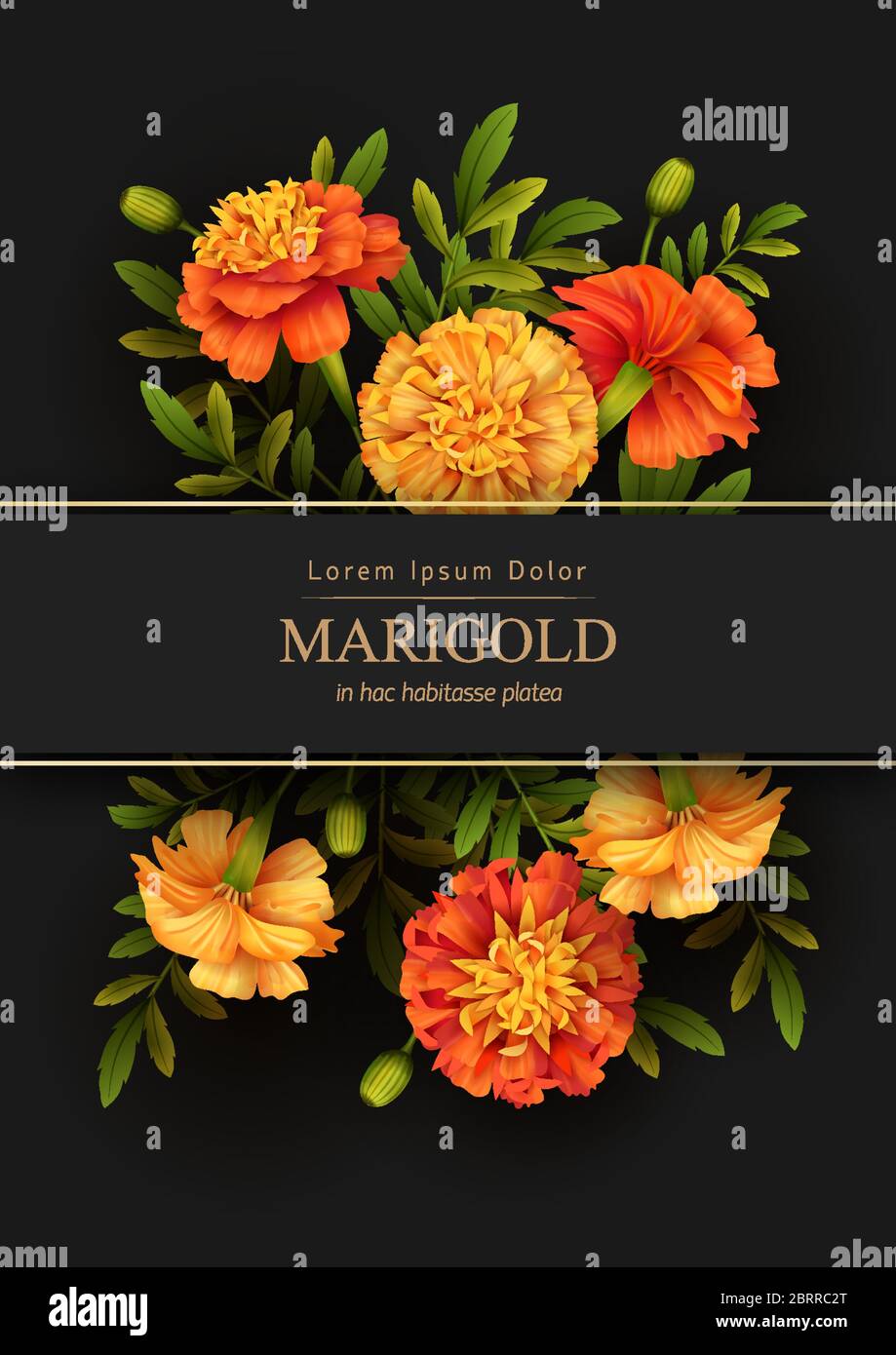 Floral Poster Template Stock Vector Image And Art Alamy