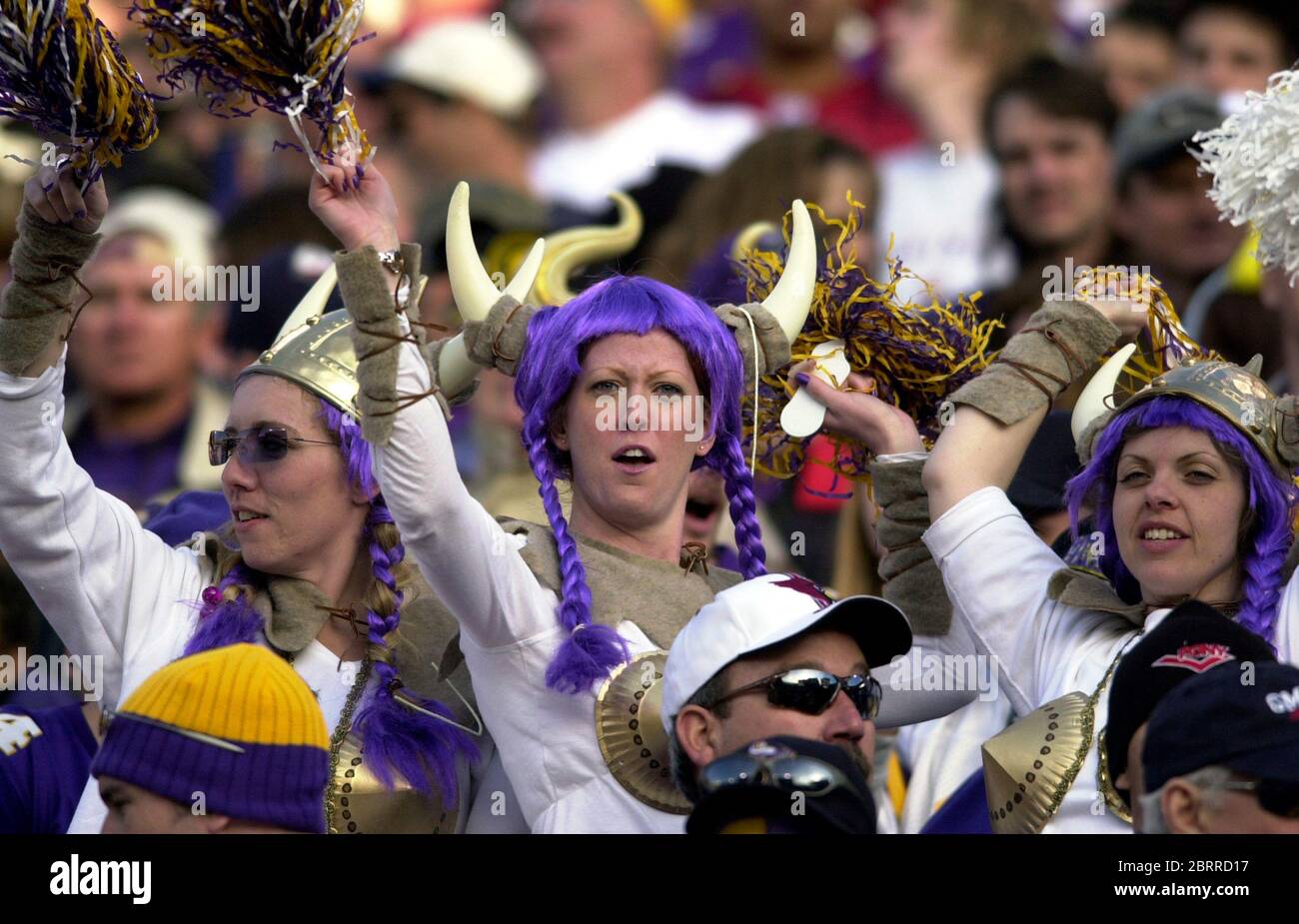 Minnesota Vikings Female Fans