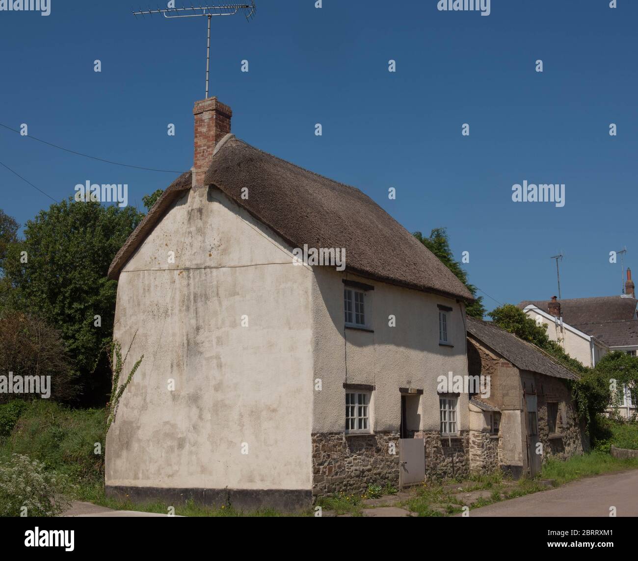 Traditional Devonian Cob and Lime Thatched Roof Cottage in a Village in ...